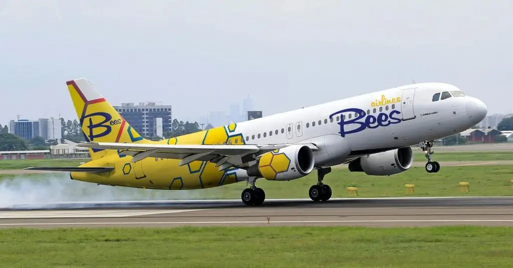 Bees Airlines (companie aeriana) - Zboruri si informatii